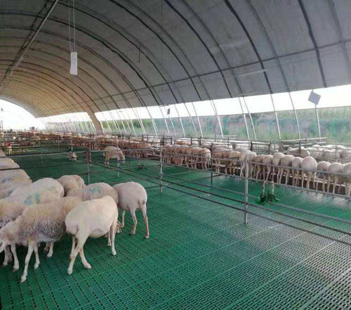 Quality Livestock Farm Equipment & Livestock Feeding Equipment factory ...