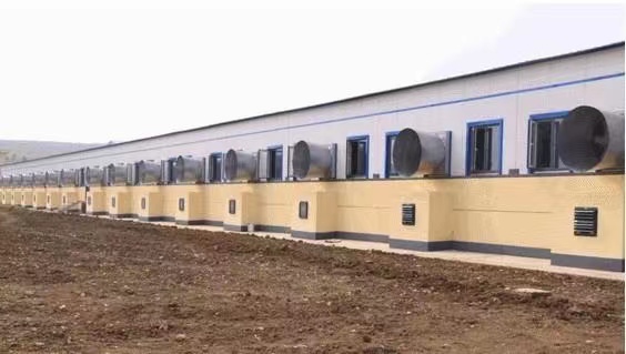 Animal Farm Livestock Barn Ventilation Hot Galvanized Steel Negative ...