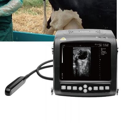 Veterinary Ultrasound Scanner factory, Buy good quality Veterinary ...